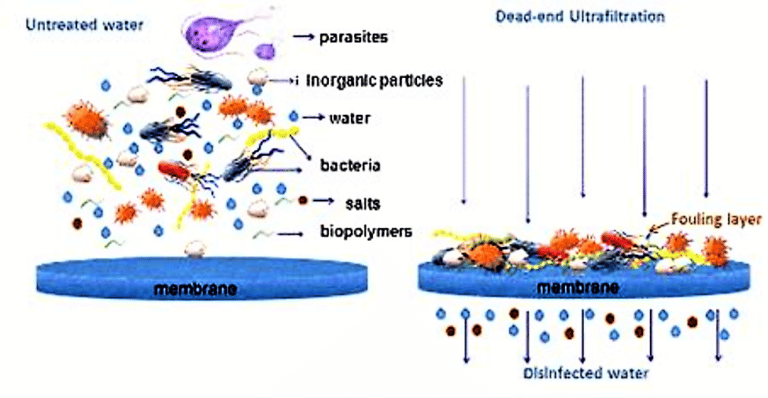 Membrane Filtration Sampling — Unique Challenges Require Reliable Solutions