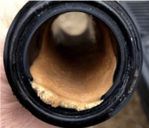 Biofilm in Pipe - Aseptic, Representative, Sanitary and Hygienic ...