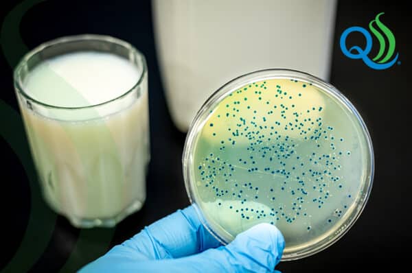 Combat Microbial Spoilage Quality Assurance Qualitru
