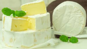 Yeast in Cheese Production | Cheese Quality Assurance | QualiTru